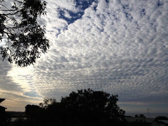 Phillip Island Weather - a Temperate Climate